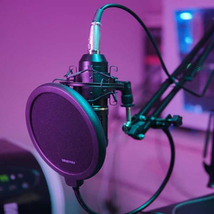 Bm-800 Mic Set With Adjustable Mic Suspension Scissor Arm, Metal Shock ...