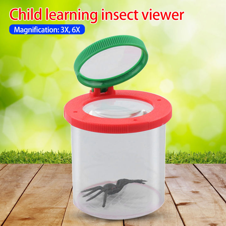 Portable Toy Insect Spider Kids Magnifying Glass Box Insect Kids ...
