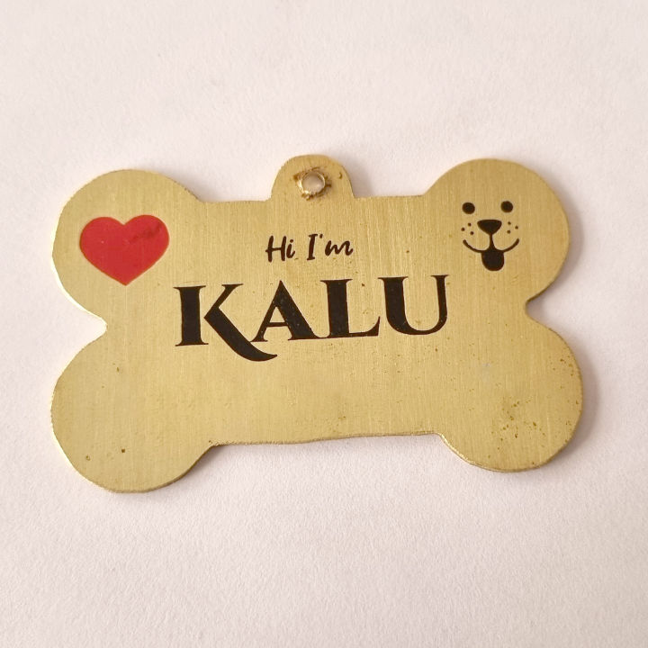 Cute Bone Design Metal Custom Print Dog Tag | Daraz.com.np