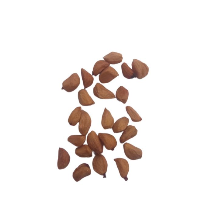 Pink Rose Seeds In Bu. Casing (5 Seeds ) | Daraz.com.np