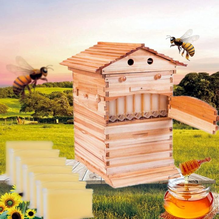 Eco-Friendly Automatic Honey Flow Beehive with Food-Grade Wooden ...