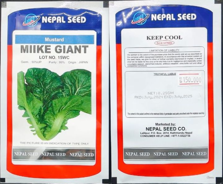 1 Packet Of Around 1 Gram Miike Gaint Mustard - Vegetable Seeds For ...
