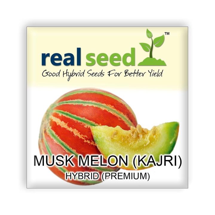 1 Packet Musk Melon Kajri F1 Hybrid Imported Fruit Seeds | Daraz.com.np