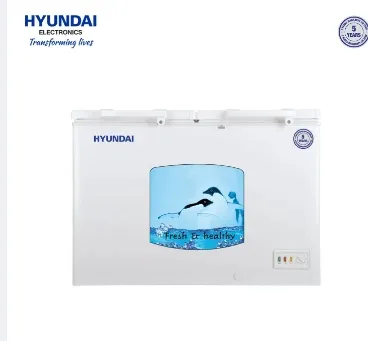 Hyundai Chest Fridge Bd400Af (Slide Glass Door) 400 L | Daraz.com.np
