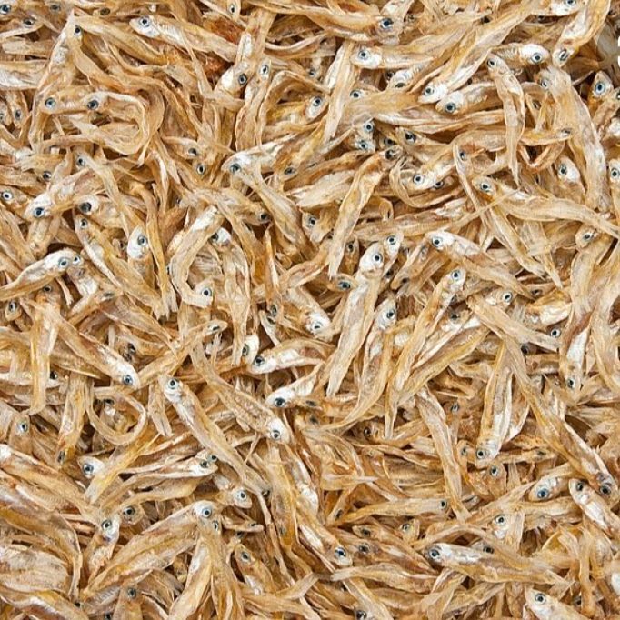 Sidra macha kichki - dried kichki fish 500gm | Daraz.com.np