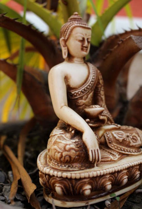 Dragon Carved Resin Shakyamuni Buddha Statue | Daraz.com.np