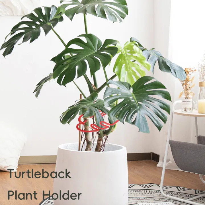 Flower Leaf Retaining Clip Turtle Shell Bamboo Clamp Reusable Plastic ...