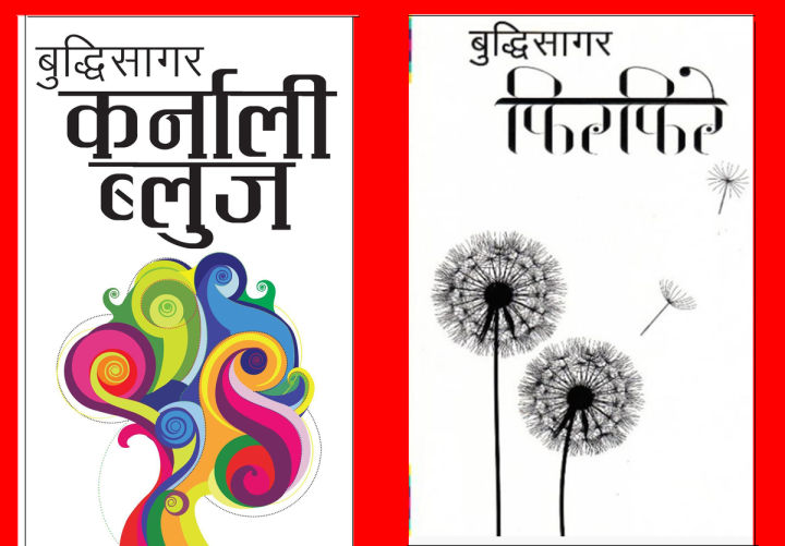 Buddhi Sagar Two Books (Phirphire, Firfire And Karnali Blues) | Daraz ...