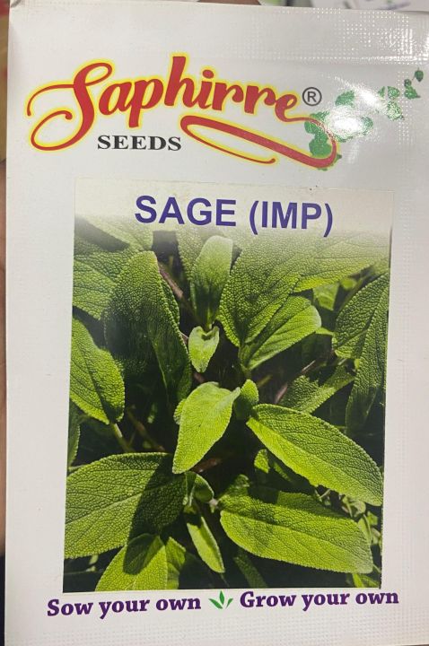 99 Mall Offer 1 Packet Saphirre Sage Seeds For Planting, 40+ Seeds Per ...