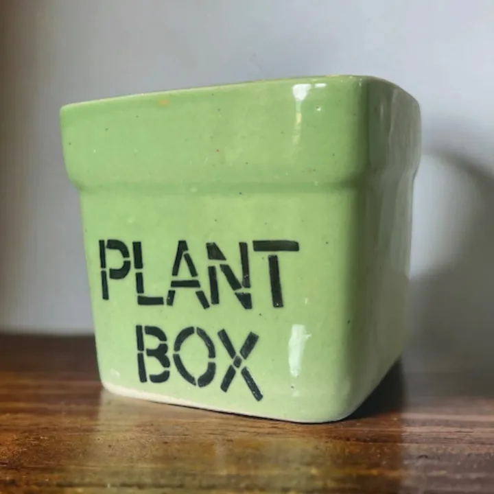 Plant Box Ceramic Planter 4 inches | Daraz.com.np