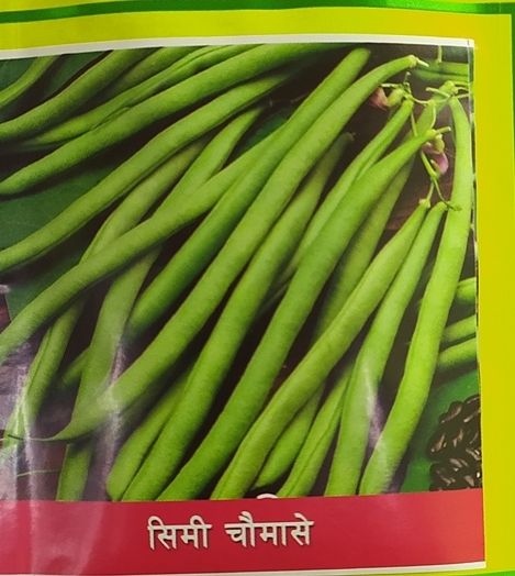 Simi Chaumase - 20 gm Bean Seeds | Daraz.com.np
