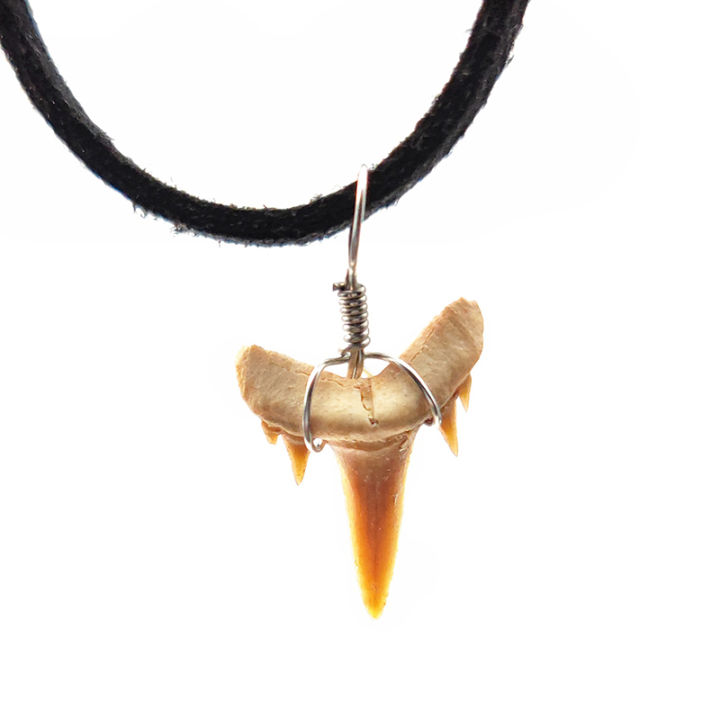 Creative Megalodon Tooth Fossil Pendant Necklace Mini Shark Teeth ...