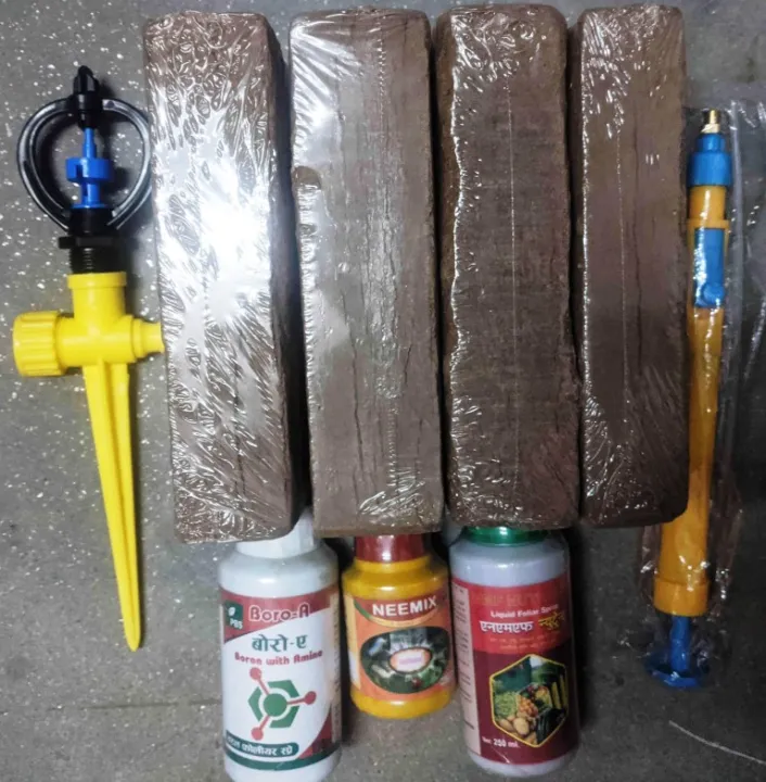 All in One: Cocopeat 4 Bricks+ Nutrients-250ml+Boron-A-250ml + Neem Oil ...