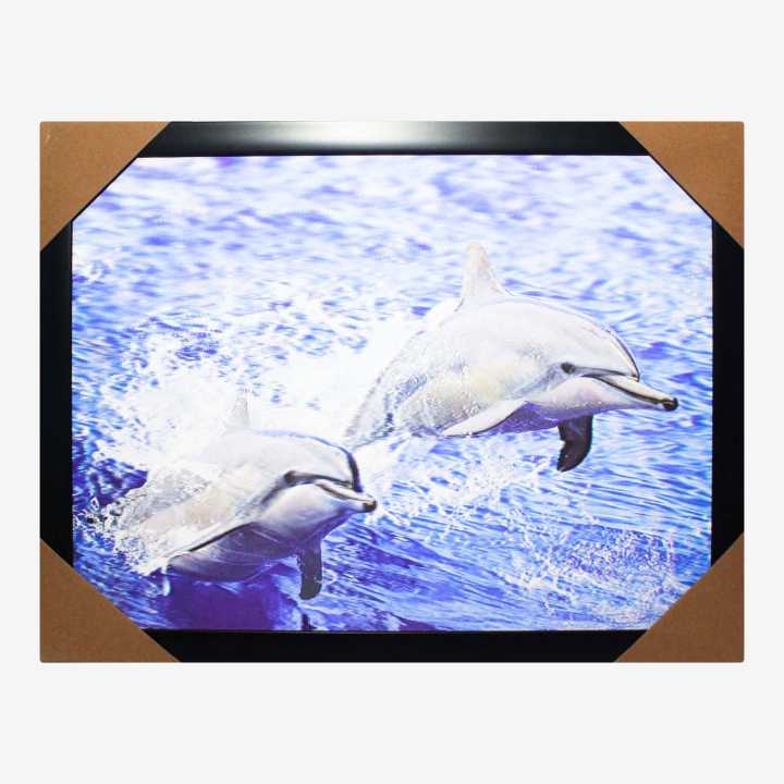 Dolphin 3D Wall Photo Frame | Daraz.com.np
