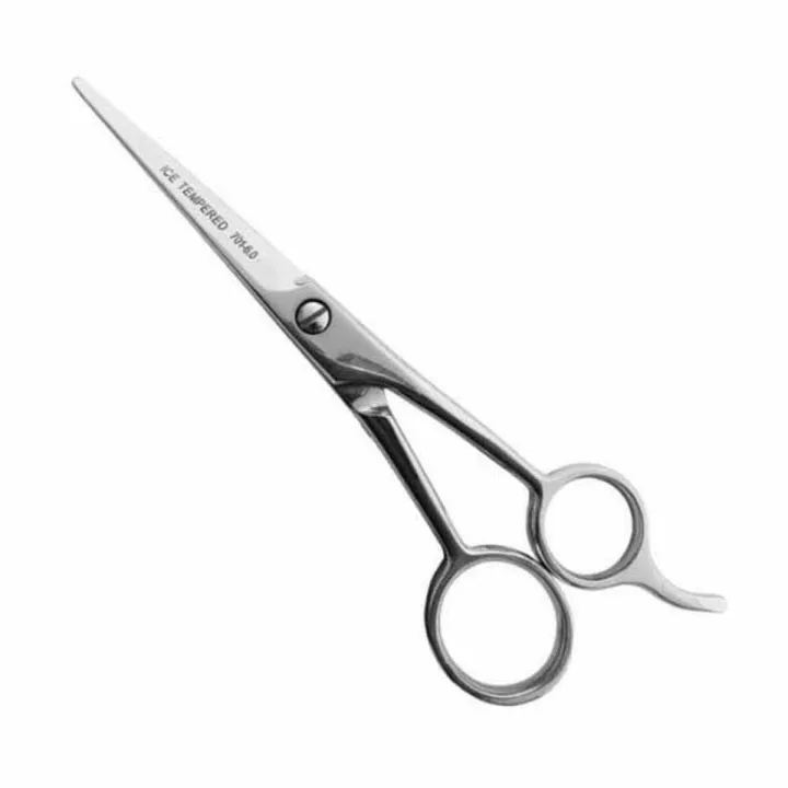 Professional Hair Cutting Scissors - 1 Piece | Ice Tempered Stainless ...