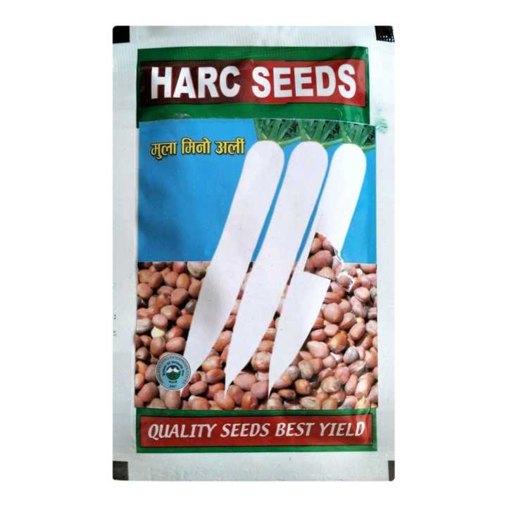 1 Pieces Of Radish , Mino Early 60 Days Mulaa | Daraz.com.np