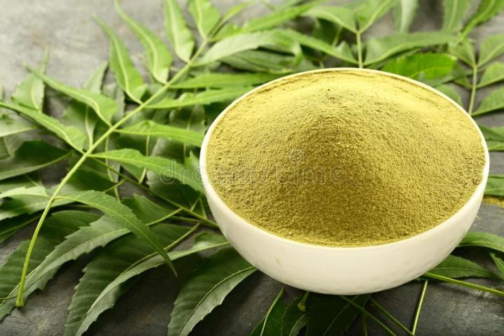 Nim Leaves Powder - 5Kg | Daraz.com.np