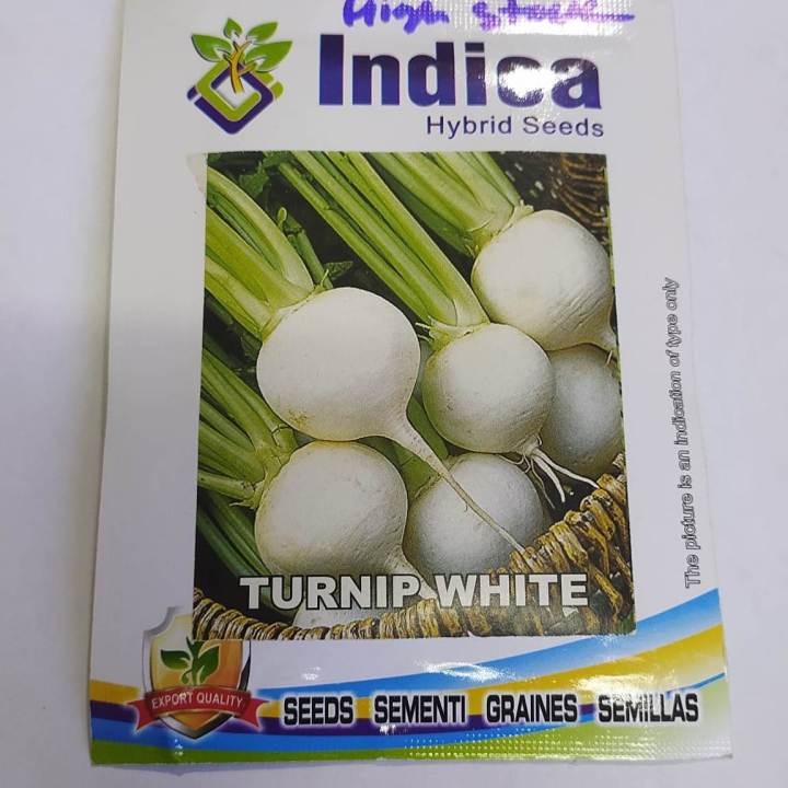 1 Packet White Turnip Seeds | Daraz.com.np