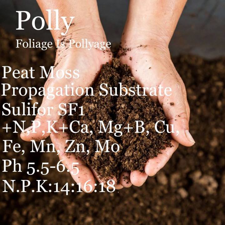 1 KG Peat Moss, NPK 14:16:18 Mixed, Professional Propagation Substrate ...