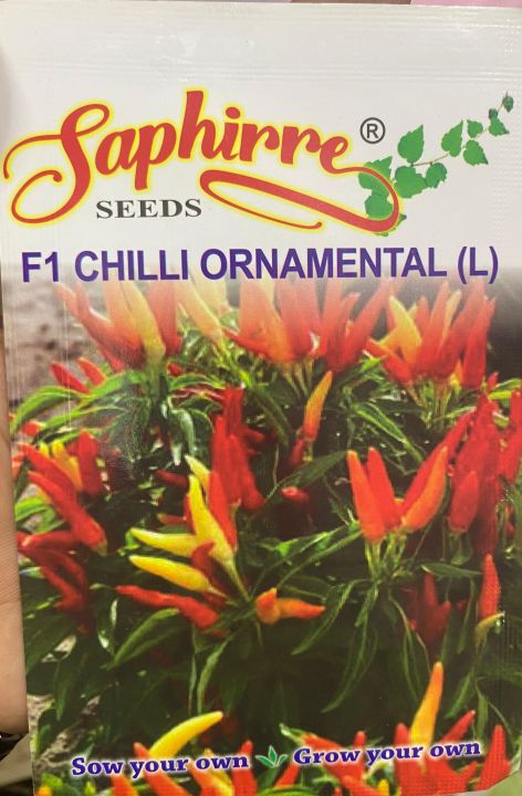 1 Packet Saphirre Ornamental Chilli l Seeds Pack | NON GMO Open ...