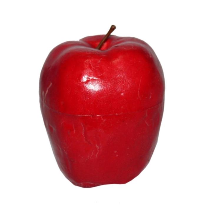 Red Apple Model Foam Toy | Daraz.com.np