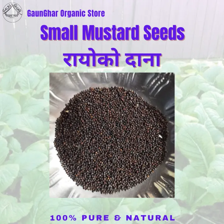 Mustard Seed ( Rayo ) 250 gm | Daraz.com.np
