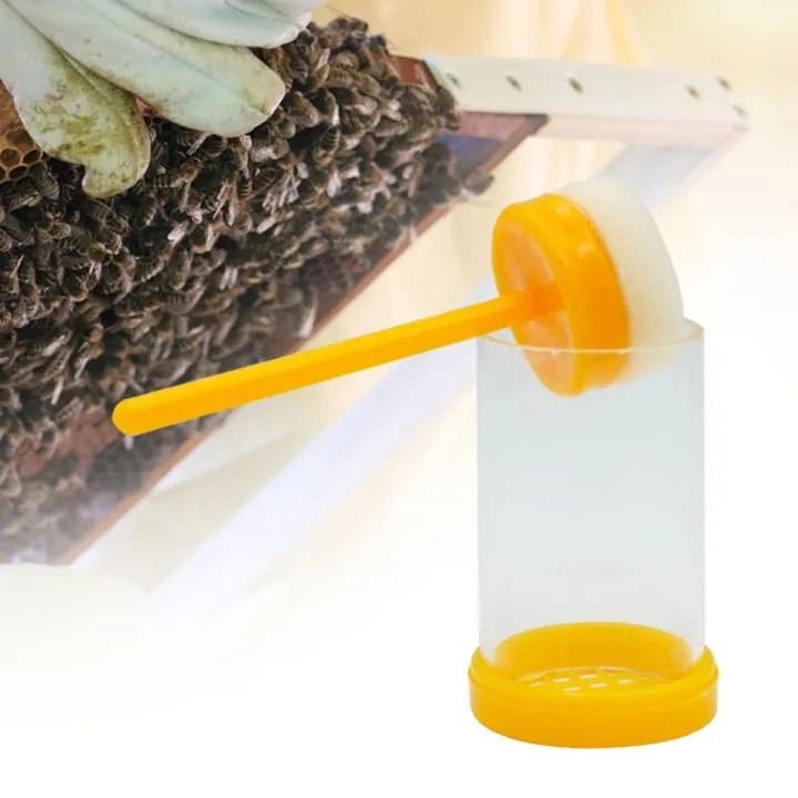 Professional Transparent Queen Bee Labeled Bottle Beekeeping Queen Bee ...