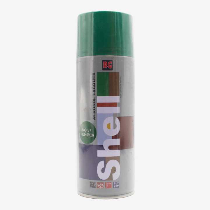 Shell Aerosol Paint Spray Green 400ml | Daraz.com.np