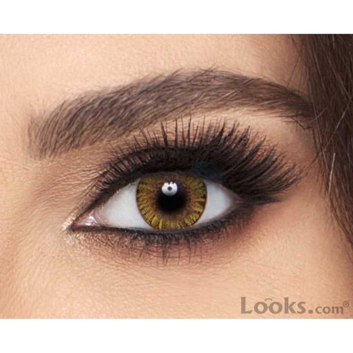 FreshLook Honey Natural Shades Color Contact premium Eye Lens For a ...