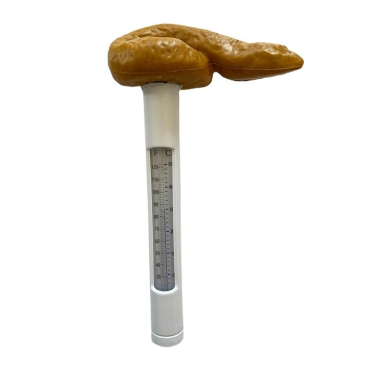 1 PCS Poop Summer Swimming Pool Thermometer Floating Poop Prank Pool ...