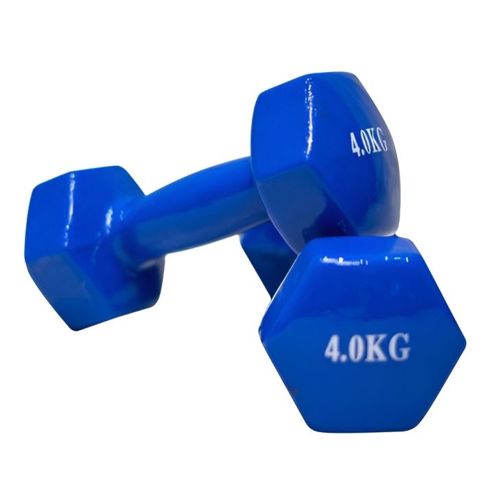 Dumbbell set 4 kg , 2 pc Set Total 8 kg Home gym Equipment | Daraz.com.np