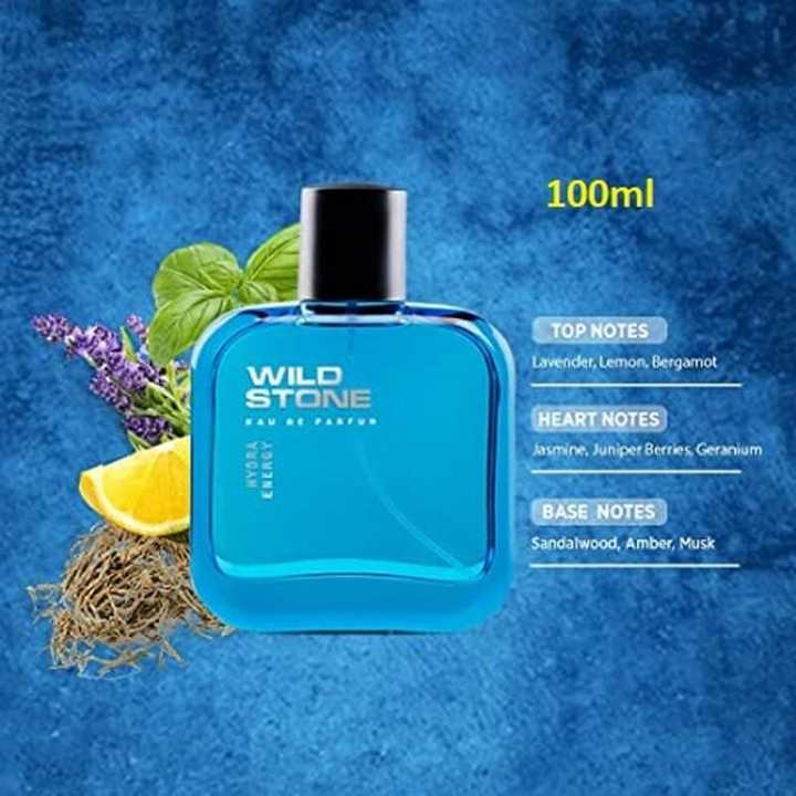 Wild Stone Hydra Energy EDP For Men - 100ml | Daraz.com.np