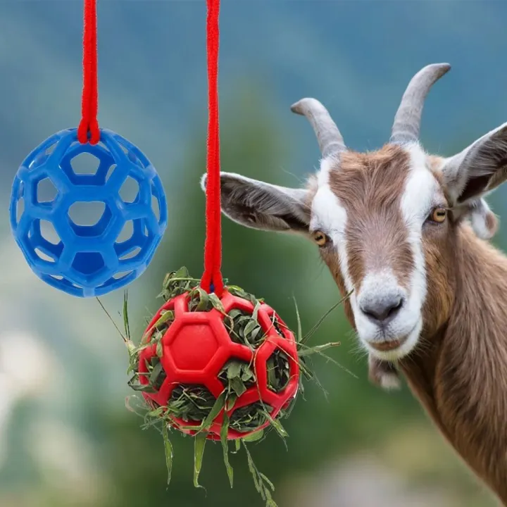 Multipurpose TPR Horse Treat Ball 5.5inch Red/Blue/Green Hanging ...
