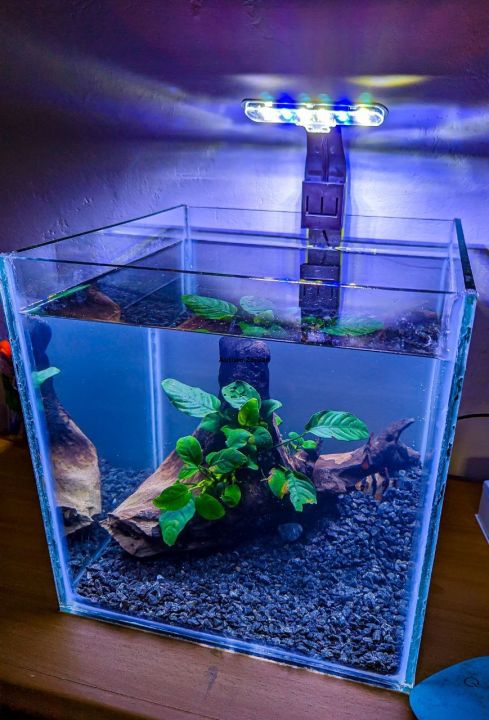 x ft 1 ft 1 water tank transparent ft 1 all-glass low Budjet planting ...