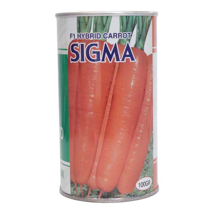 Vegetable Seed - F1 Hybrid Carrot Sigma Seed 100g | Daraz.com.np
