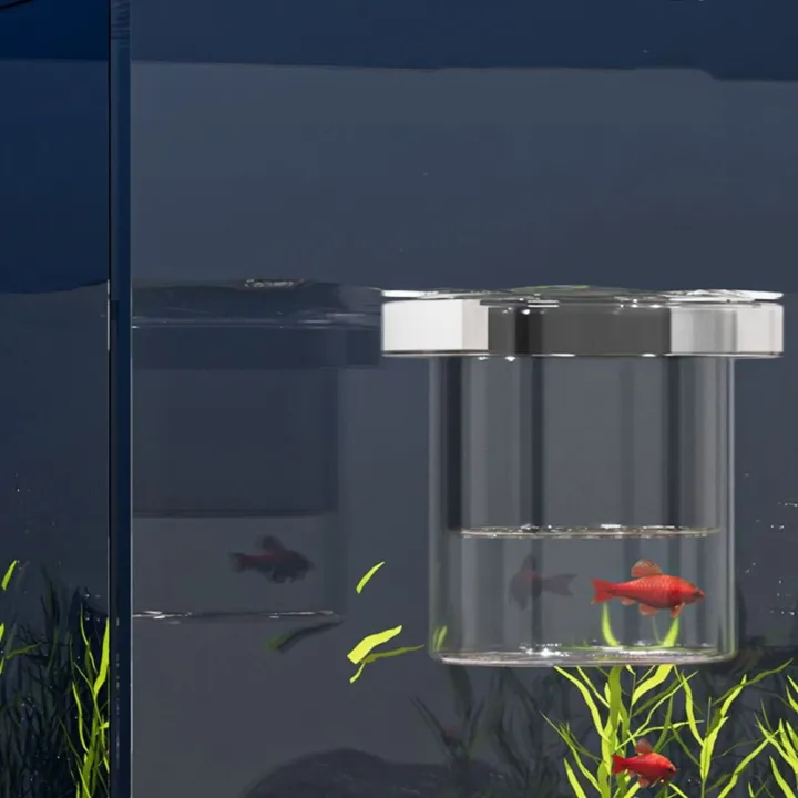 Fish Supplies Acrylic Floating Fish Breeding Isolation Box Suspension ...