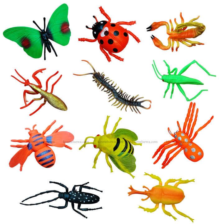Realistic Insect & Bug Toy Figures (11 Pcs) for Kids - Educational ...