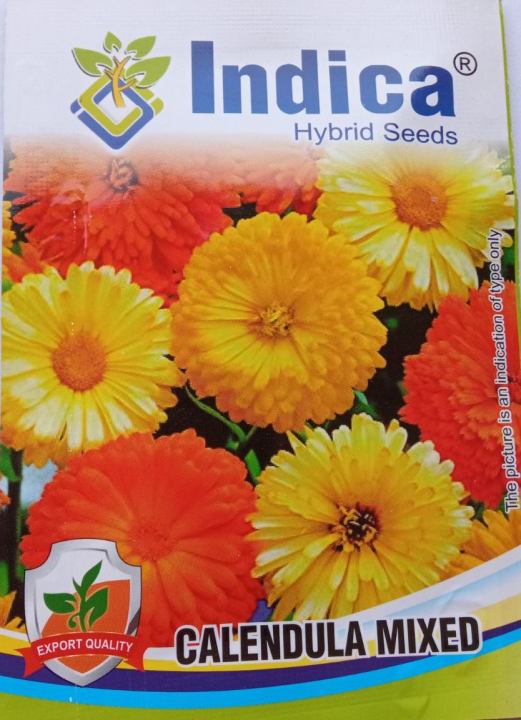 Flower Seeds- 1 Packet Calendula Mix Flower Seeds | Daraz.com.np