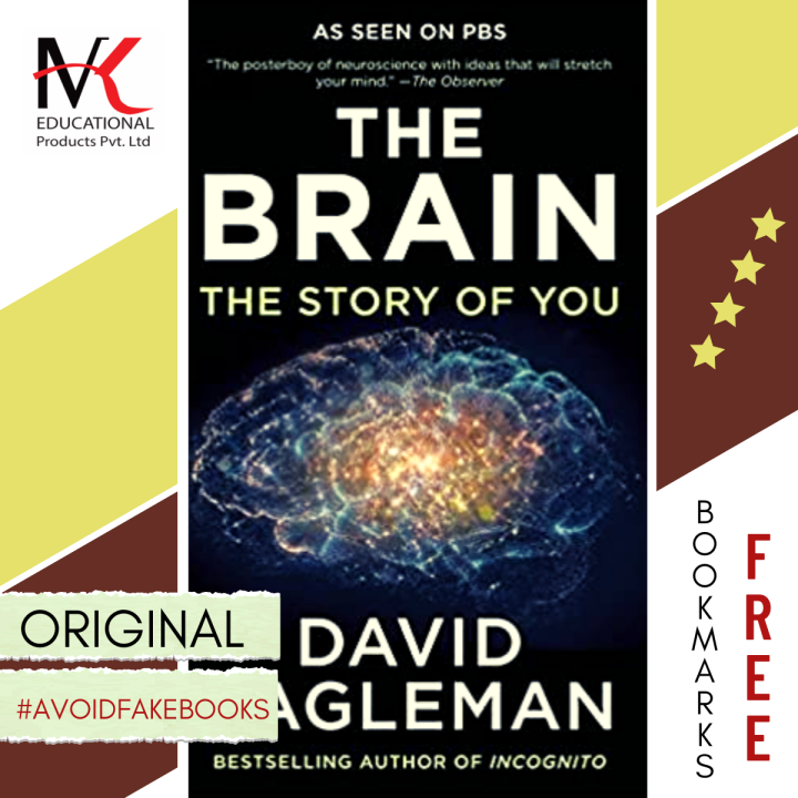 The Brain - David Eagleman (Mkep) | Daraz.com.np