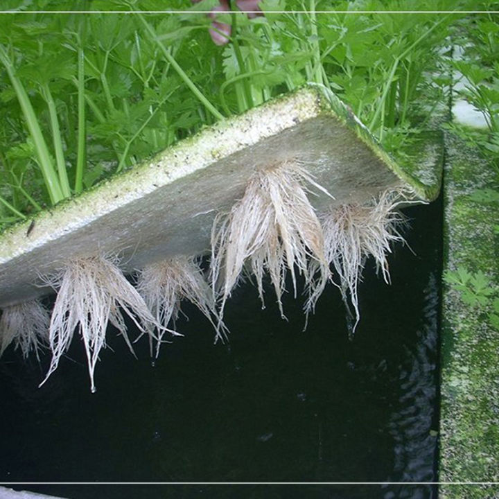 Hydroponic Vegetable Floating Board Soilless Cultivation Equipment Foam ...