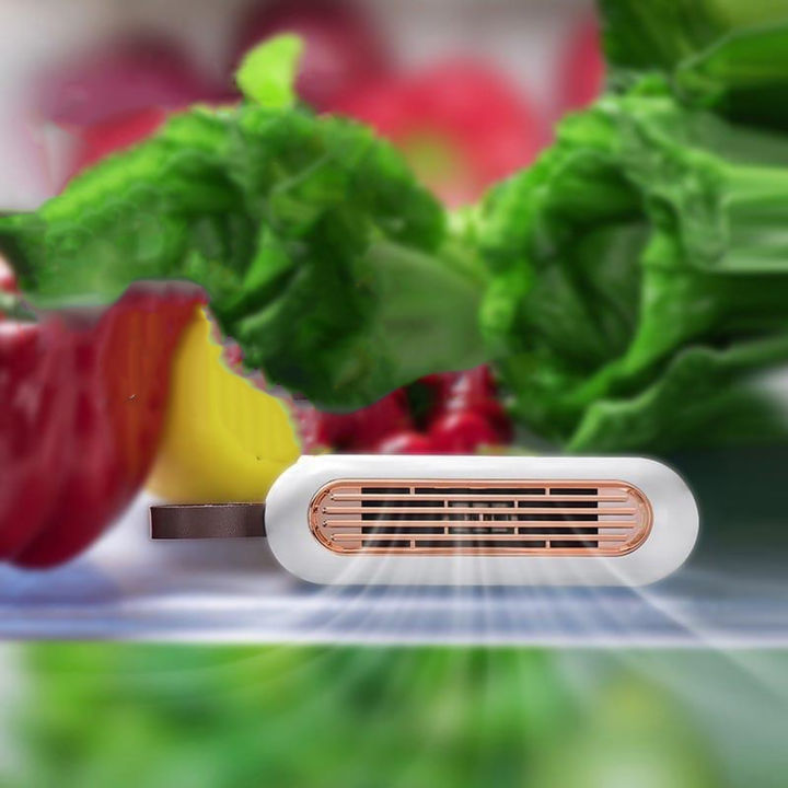 Refrigerator Air Purifier Ozone Generator Sterilizer | Daraz.com.np