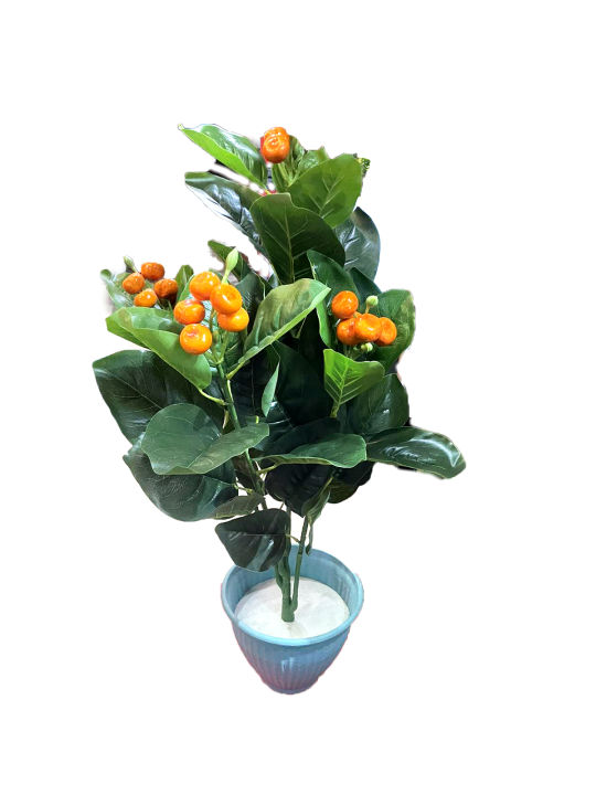 Artificial Calamansi Rubber Design Tree With Cherry With Designated Pot ...