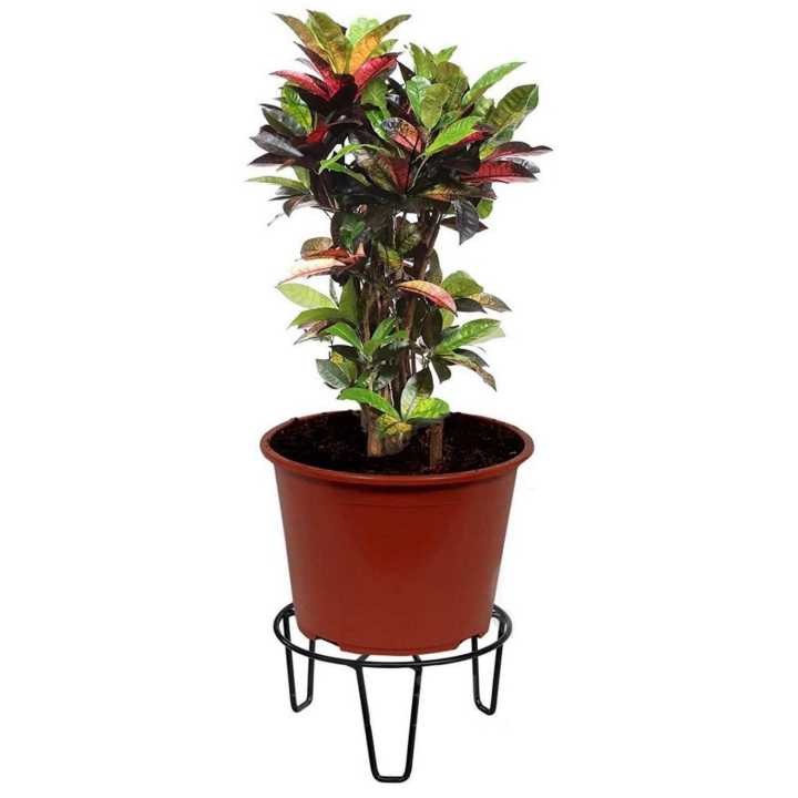 Flower Pot or Plant Stand Plant Container Set or Gamala Stand | Daraz ...