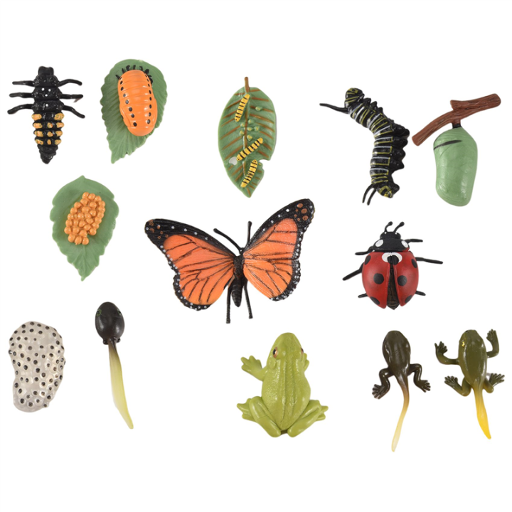 NAMUNY 3 Sets Insect Figurines Life Cycle of Butterfly Frog Ladybug ...