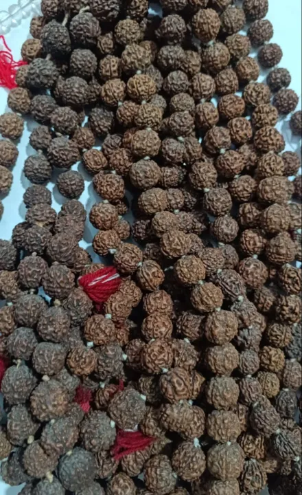 रुद्राक्ष माला Rudraksha Mala lagaune Mala best Mala | Daraz.com.np