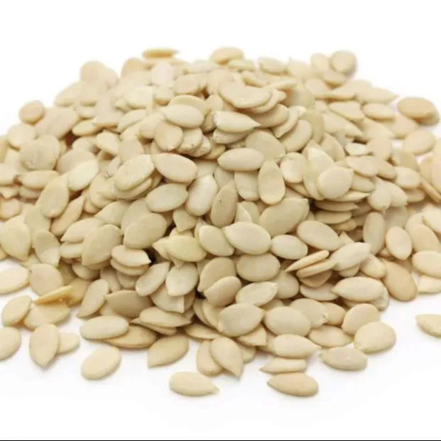 Watermelon Seed Kernels ( Magaz / Magaz Tarbuz / Tarbuj seeds ) - 1 kg ...