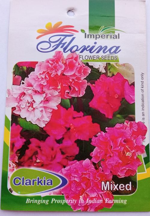 1 Packet Clarkia Mixed Flower Seeds 50 Plus Seeds | Daraz.com.np