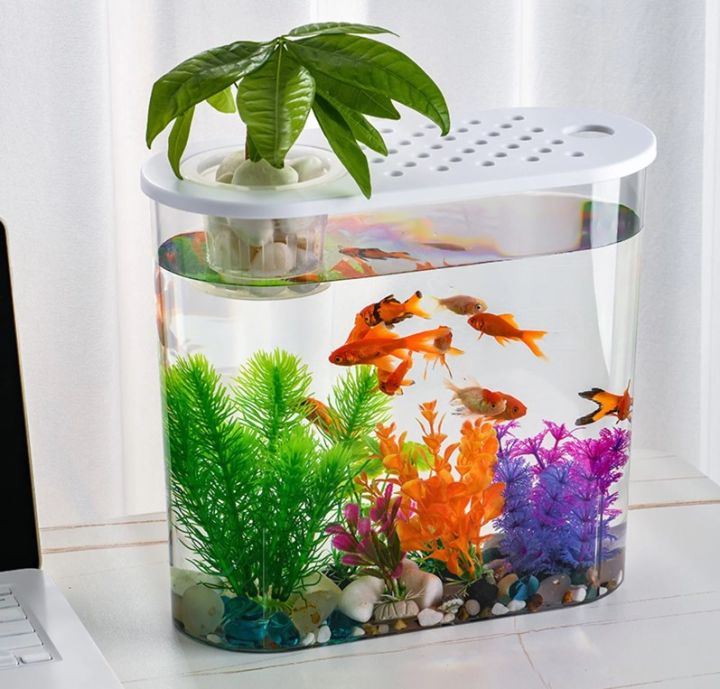 Aquarium Fish Tank Starter Kit By Crown Aquatics | Daraz.com.np