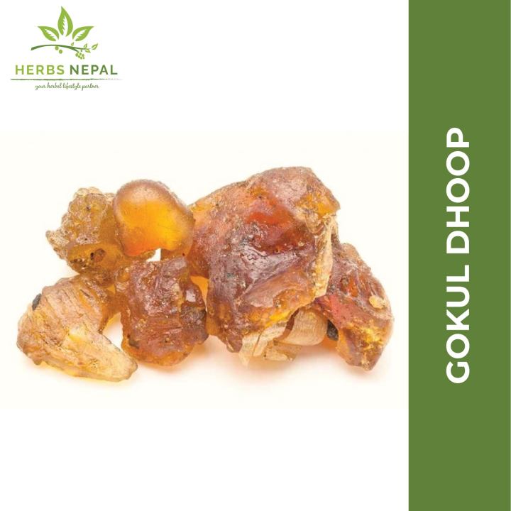 Gokul Dhoop 200 Gm (A Grade) / Herbs Nepal | Daraz.com.np