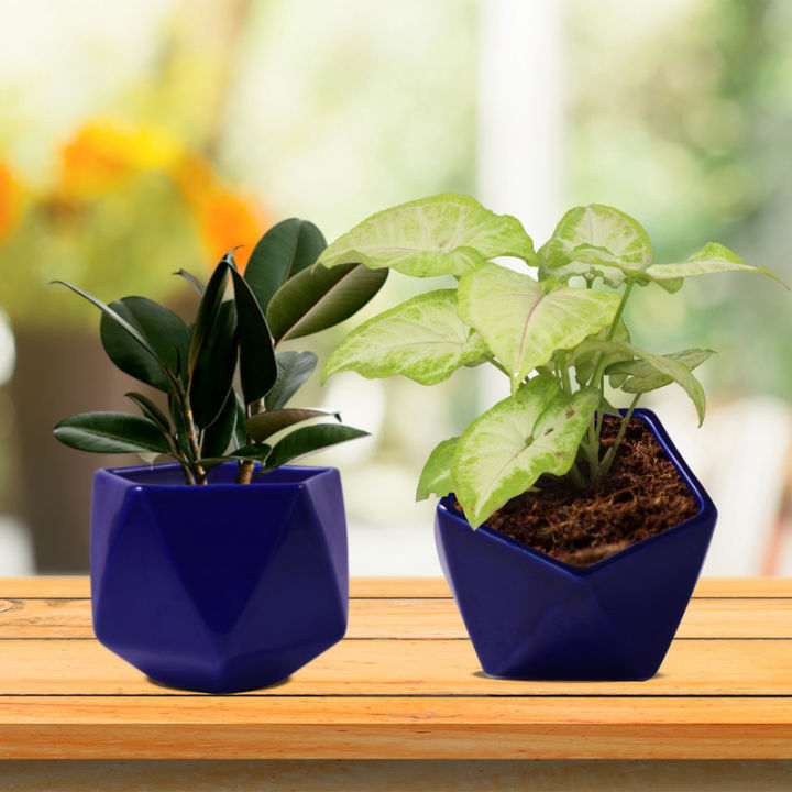 Crystal Blue Set of Two-Gamla | Daraz.com.np